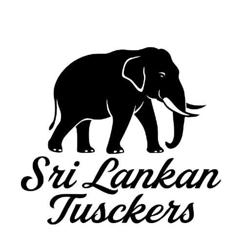 Sri Lankan Tuskers: Majestic Elephants, Habitat & Conservation